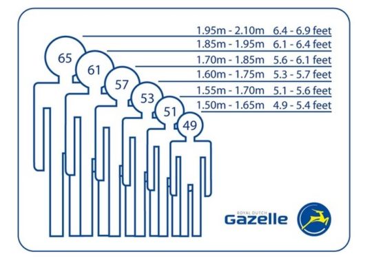Gazelle Ultimate C380+ - Electric Cyclery